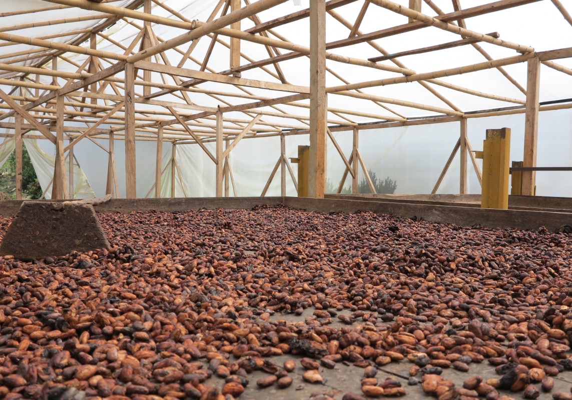 The 4-6 method by 2016 Brewers Cup champ, Tetsu Kasuya – LONG & SHORT